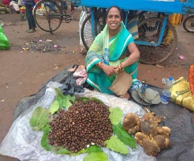 बाजार में आया देसी नानवेज 'रुगड़ा', जानें इसकी खासियत Khunti News ...