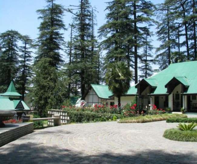 शिमला में लोगों की जान से ज्यादा पेड़ों की कीमत - Trees in Shimla