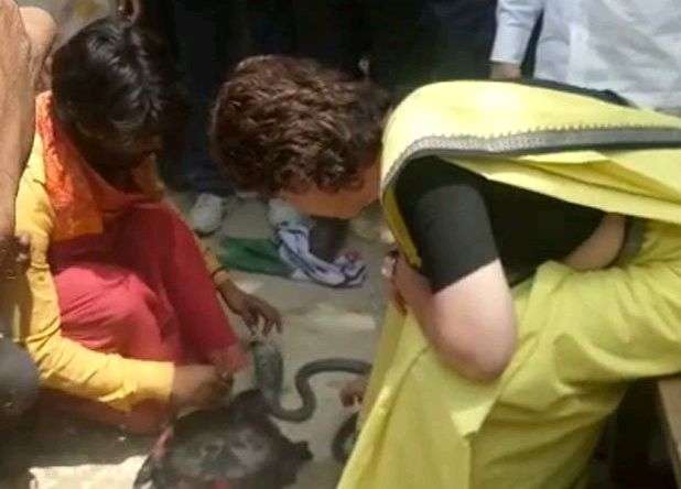 प्रियंका वाड्रा को महंगा पड़ सकता है सांपोंं से खेलना, डीएम के पास ...