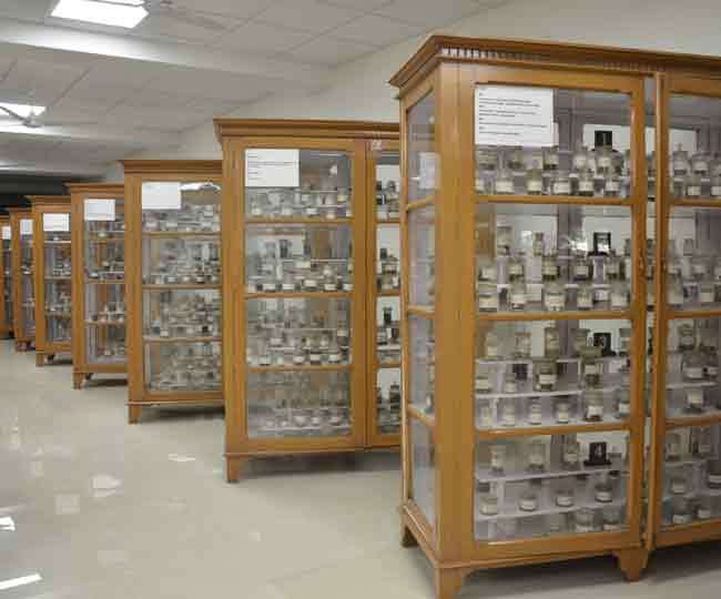 देश का सबसे बड़ा हरबेरियम देहरादून में, यहां है वनस्पतियों के 3.30 लाख ...