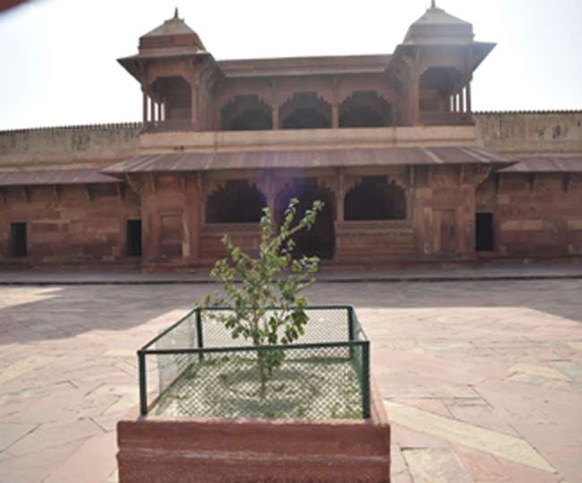 फिर संवरेगा जोधाबाई पैलेस, जानिए एएसआइ ने क्‍या की तैयारी Agra News