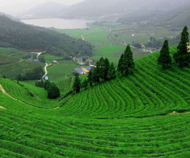 धेमाजी- खूबसूरती और समृद्धि की जुगलबंदी वाला शहर - trip to dhemaji ...