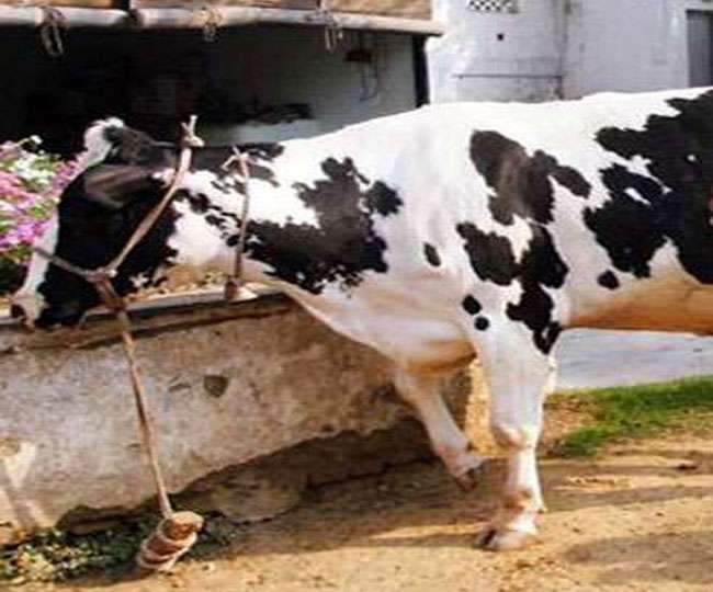 चारा घोटाला के किंगपिन एसबी सिन्हा की संपत्ति पर Income Tax का दावा ...