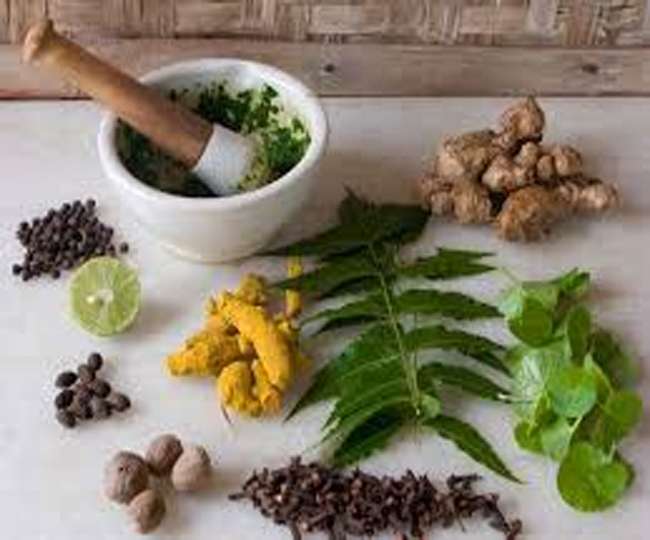 दुनिया में आयुर्वेद का परचम लहराने के लिए महामंथन शुरू