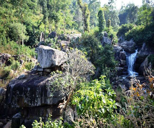 पहाड़ से बहते पानी की मोड़ी धारा तो हरी-भरी हो उठी बंजर भूमि