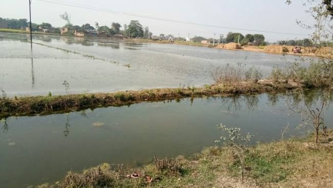 बिछियां गांव में जलजमाव से किसान परेशान