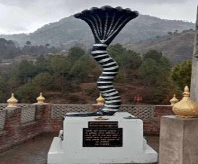 केरल के बाद अब सोलन में स्थापित होगा दूसरा बड़ा नागलोक, 18 फीट ऊंची ...