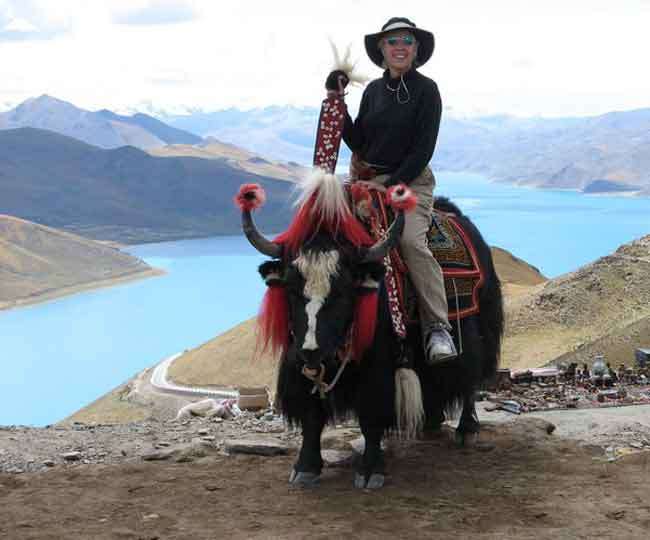 रोमांच और बनना हो याक का सवार तो जाएं सिक्किम इस बार