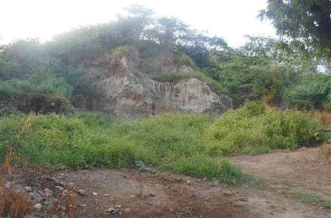 हाथरस के महौ गांव में मिट्टी के टीले में बदल गया किला, पर मंदिर ...