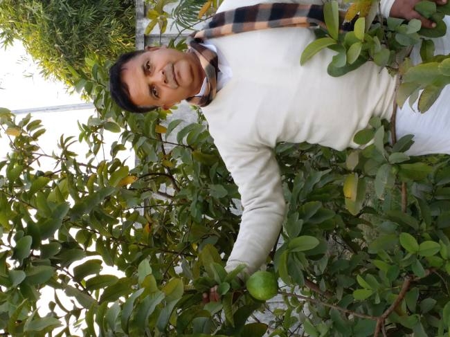 संजीव के लिए फलदार वृक्ष हैं संजीवनी