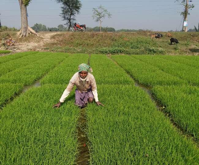 किसान सम्‍मान नि‍धि की पहली किस्‍त देने के लिए सरकार ने मांगा ब्‍यौरा ...