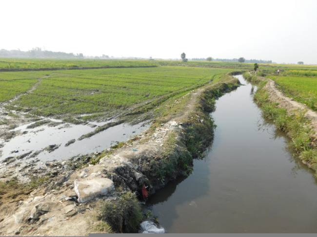 जांच टीम को गंगा में गिरता मिला नाले का पानी - The drainage water ...