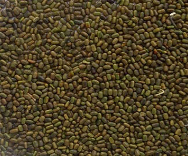 हरी खाद अनुदान योजना को लग रहा पलीता, नौ वर्षों से ढैंचा बीज से वंचित ...