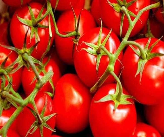 यहां एक हजार रुपये क्रेट बिक रहा है टमाटर - Tomato Price in Himachal ...