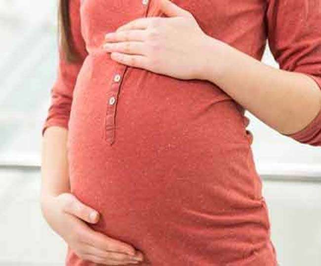 प्रेगनेंसी में संबंध बनाने से इन्कार करना गलत नहीं हाईकोर्ट Denial