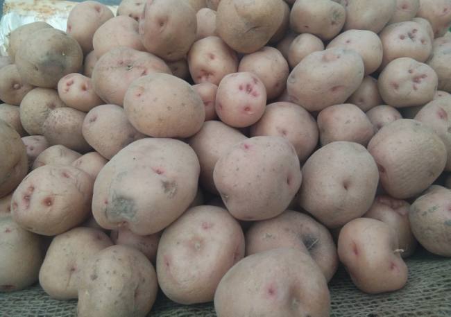 आलू के चढ़ने लगे भाव