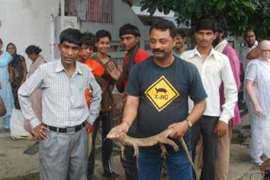 घर में निकली विषखापर, सात घंटे दहशत में रहा परिवार