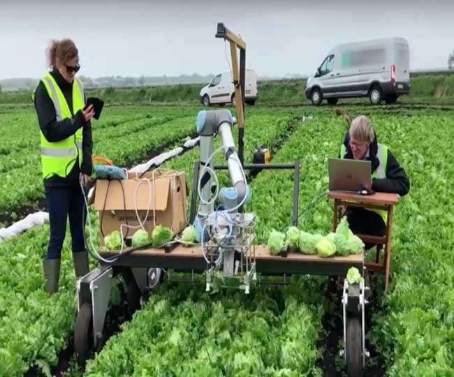 कैंब्रिज के वैज्ञानिकों ने बनाया ‘Vegebot’, आर्टिफिशियल इंटेलिजेंस की ...