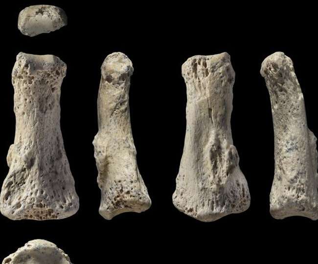 85 हजार साल पहले अफ्रीका से पूरे विश्व में फैलने लगे थे मनुष्य