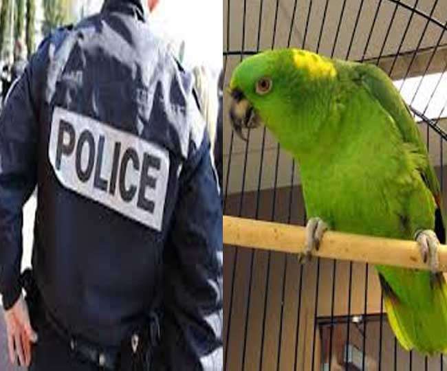 तोते देखती रह गई पुलिस, आंखों में धूल झोंक भाग गया आरोपी