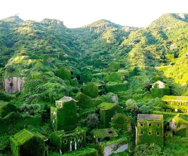 हमारी खुशियां बढ़ाती हैं हरी-भरी जगहें, इस तरह किया अध्ययन - Our ...