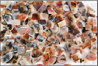 मशीनों से शिल्पकारी हो तो चमके शजर उद्योग