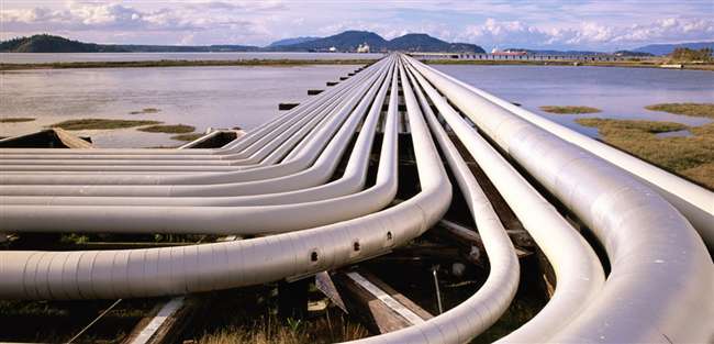 15 लाख परिवारों को पाइप गैस आपूर्ति करेगी पश्चिम बंगाल सरकार