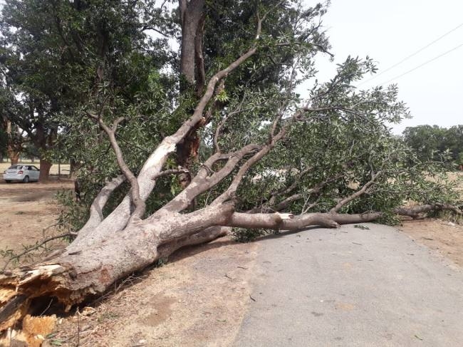 फरौली से बाहर जाने का बंद हो गया था रास्ता