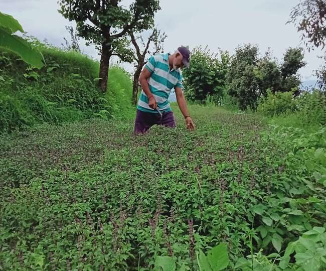 22 साल तक मुंबई में प्राइवेट नौकरी के बाद चन्‍द्रशेखर लौटे गांव, अब ...