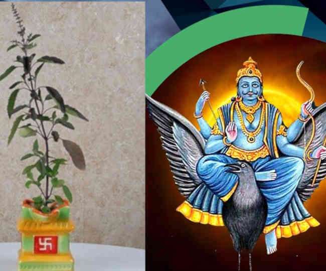शनि की पूजा में तुलसी से होता है लाभ - Worship Shani Dev on Saturday ...