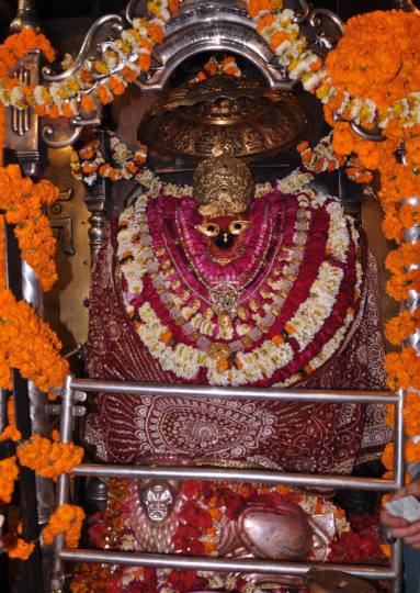 कालरात्रि स्वरूपा मां का भक्तों ने किया दर्शन-पूजन - The devotees of ...
