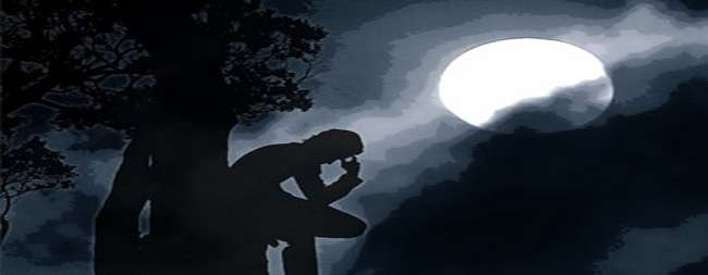 Man Does Not Know The Real Definition Of Bad Luck man-does-not-know-the-real-definition-of-bad-luck