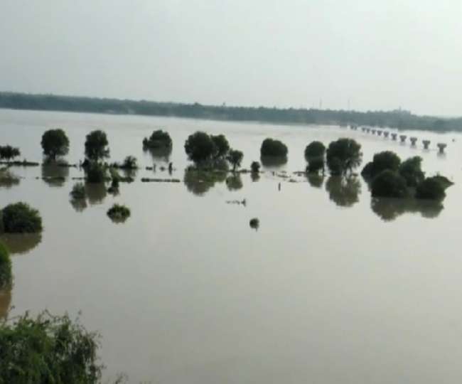 चंबल में बाढ़: 135.50 पहुंचा जलस्‍तर, रौद्र रूप देख ग्रामीणों में दहशत ...