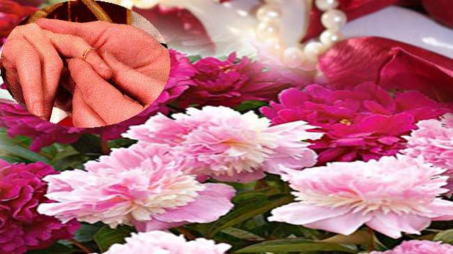 यह फूल वास्तु और फेंगशुई में महत्वपूर्ण माने गए हैं