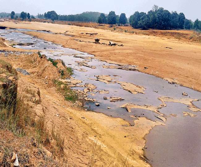 मैं कोयल... अब नहीं होता सब्र, क्यों खोद रहे अपनी कब्र Ranchi News ...
