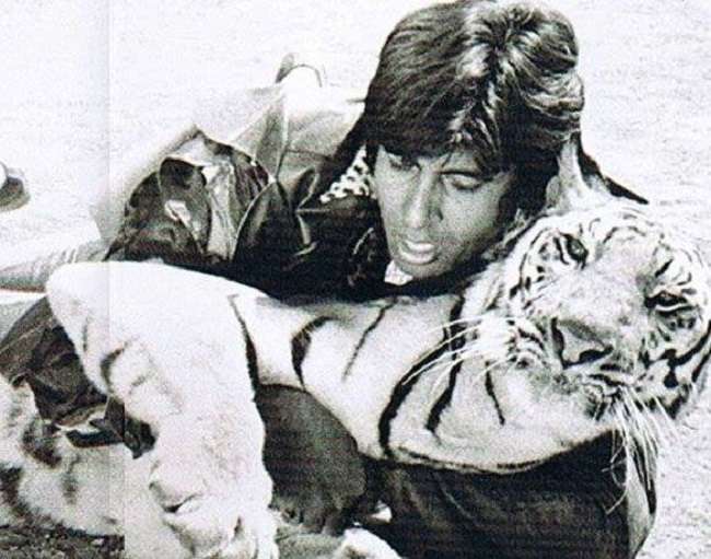 जब Don की हुई थी रियल Tiger से fight, खूब बहा था खून पसीना - Amitabh ...