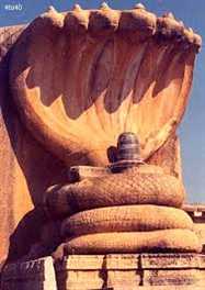 आज नागदेव की पूजा कर भक्त विशेष कृपा की प्राप्ति कर सकते हैं - Today ...