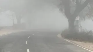 Weather Update: घने कोहरे की चादर छाई, तापमान में गिरावट के से और बढ़ ...