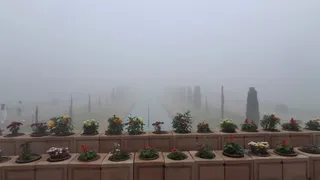 Agra Weather Today: सीजन का पहला घना कोहरा, Expressways और Highways पर ...