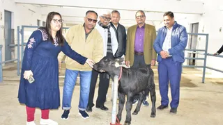 वैज्ञानिकों की बड़ी सफलता! हिसार में क्लोन झोटा गौरव 2.0 का जन्म, हाई ...
