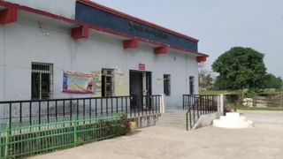 सरकारी अस्पतालों में आवारा कुत्ते दिखे तो अब खैर नहीं, अररिया में रेबीज ...