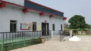 सरकारी अस्पतालों में आवारा कुत्ते दिखे तो अब खैर नहीं, अररिया में रेबीज ...