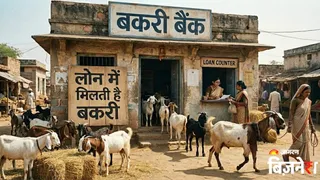महाराष्ट्र का अनोखा बैंक! ग्रामीण महिलाओं को लोन में देता है बकरी और ...