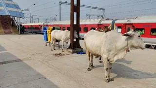 छपरा जंक्शन पर रील बनाने का जुनून, कार्रवाई के बाद भी युवा तोड़ रहे ...