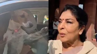 'संसद परिसर में पालतू जानवरों की अनुमति नहीं', रेणुका चौधरी मामले में ...