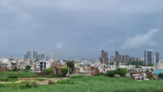 गुरुग्राम में सर्द हवाओं और बादलों से बढ़ी ठिठुरन, 1 फरवरी को बारिश की ...