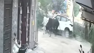 हरिद्वार: सांड ने बुजुर्ग को सींग से हवा में उछाला, इलाज के दौरान हुई ...