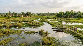 पूर्णिया और कटिहार में सबसे अधिक वेटलैंड, बिहार सरकार ने लिया ...