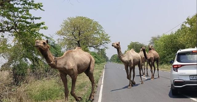 Bikaner Weather Today | Bikaner Weather Forecast and AQI Level Updates