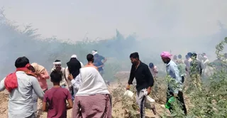 जालौन के जंगलों में लगी भीषण आग, कई पेड़ जलकर राख, गांवों में दहशत का ...